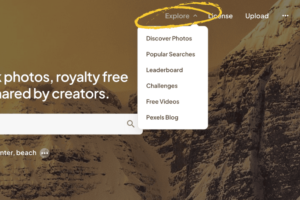 What is Pexels? – Create a Website