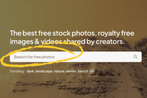 What is Pexels? – Create a Website